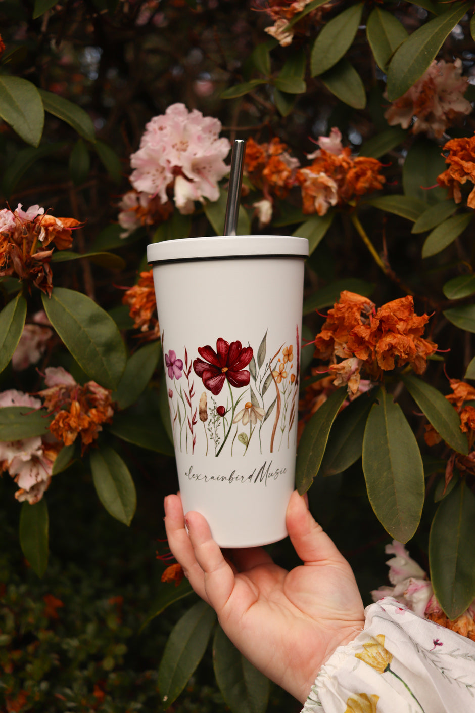 alexrainbirdMusic Store – alexrainbirdmusic